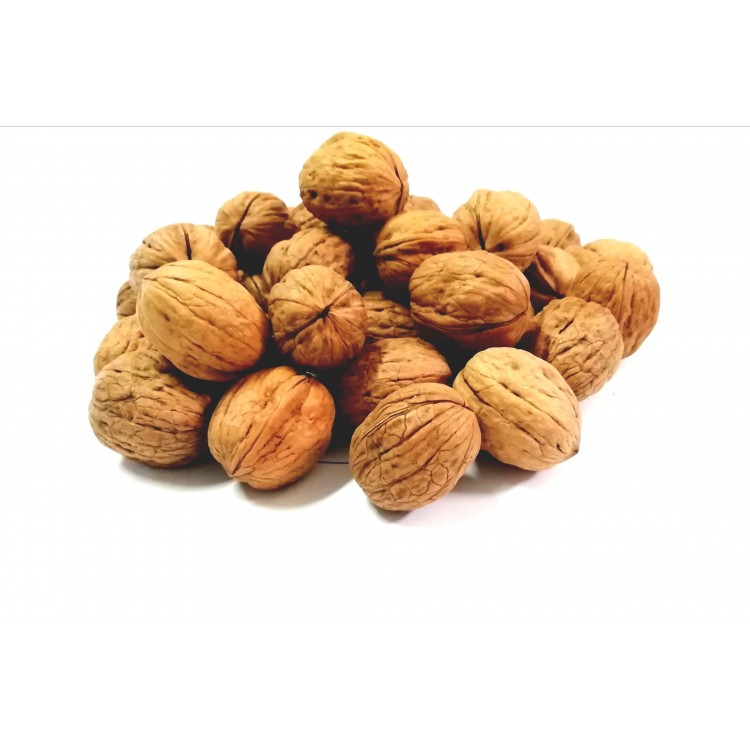 Distribution of walnuts in shell chandler bio wholesale - Blife Srl ...