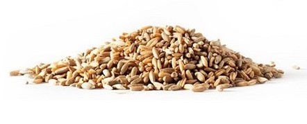 Fornitore di Farro piccolo monococco bio all'ingrosso. - Blife Srl ...