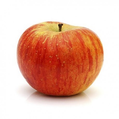 Wholesale supplier of organic Florina apples. - Blife Srl organic ...