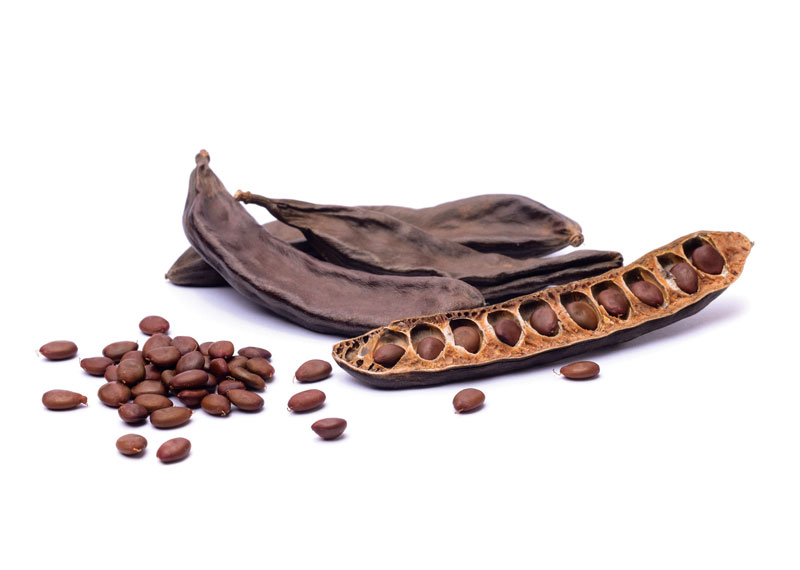 Fornitore di Carruba bio all'ingrosso. - Blife Srl grossista bio