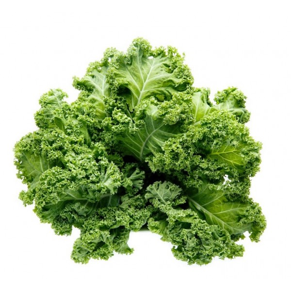 Fornitore di Cavolo riccio bio (verde o viola) all'ingrosso. - Blife ...