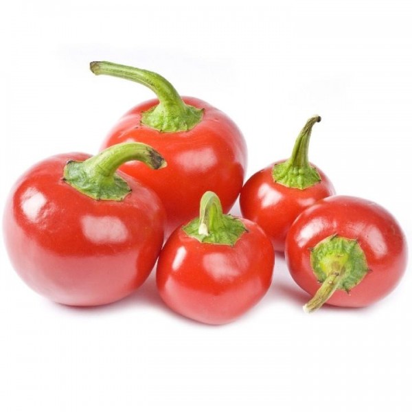 Wholesale supplier of small round organic peppers for stuffing. - Blife ...