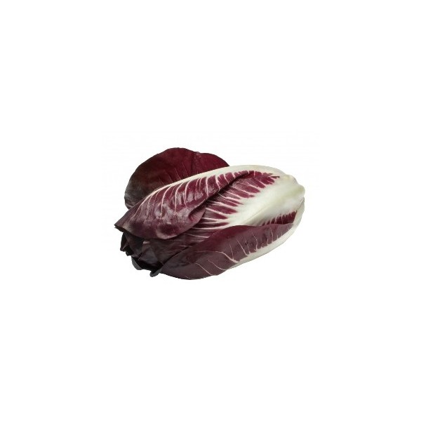 Wholesale supplier of organic red early radicchio. - Blife Srl organic ...