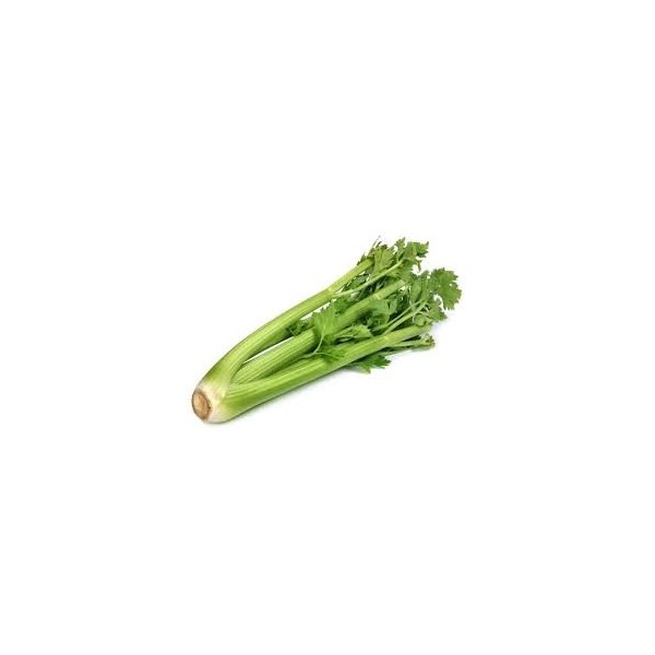 Fornitore di Sedano verde bio all'ingrosso. - Blife Srl grossista bio