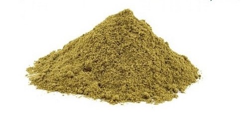 Wholesale organic Rosemary powder supplier. - Blife Srl organic wholesaler