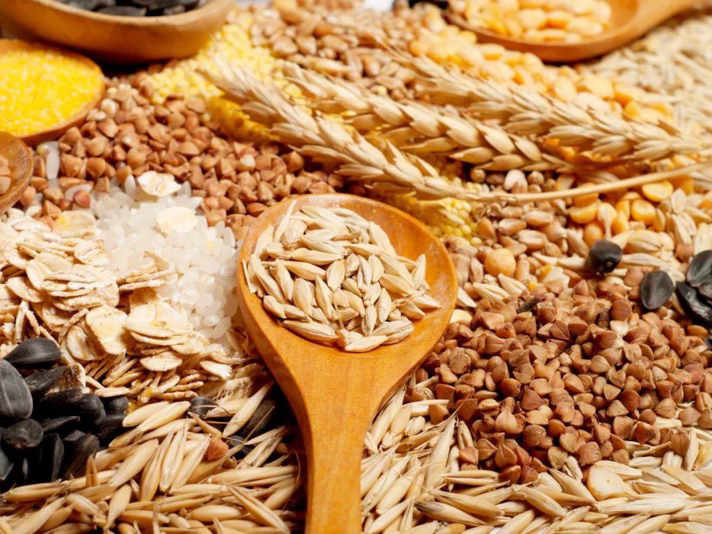 Blife - Organic cereals for organic muesli breakfast